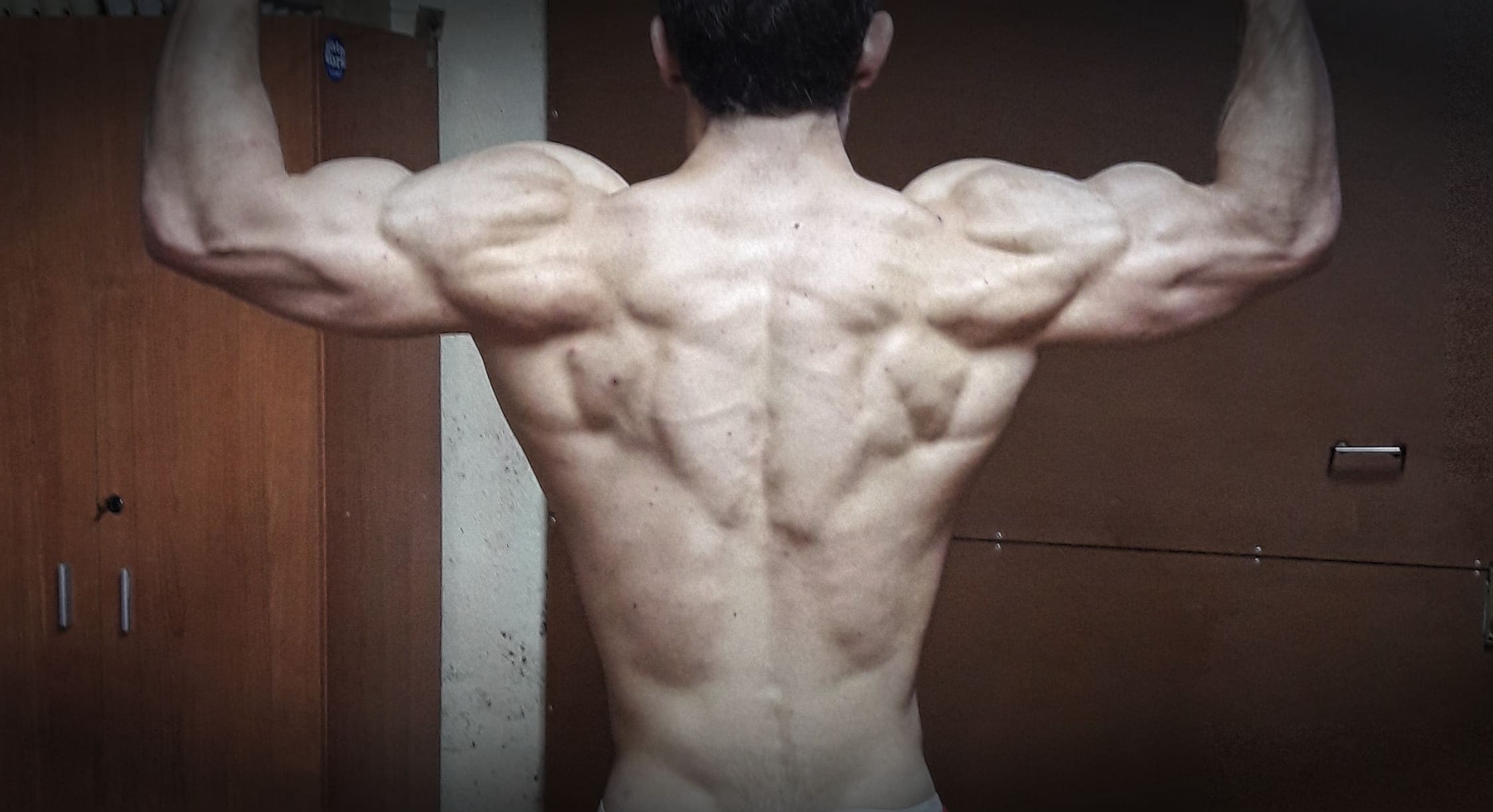 Muscular Hyertrophy And Testosterone | Calisthenics Articles